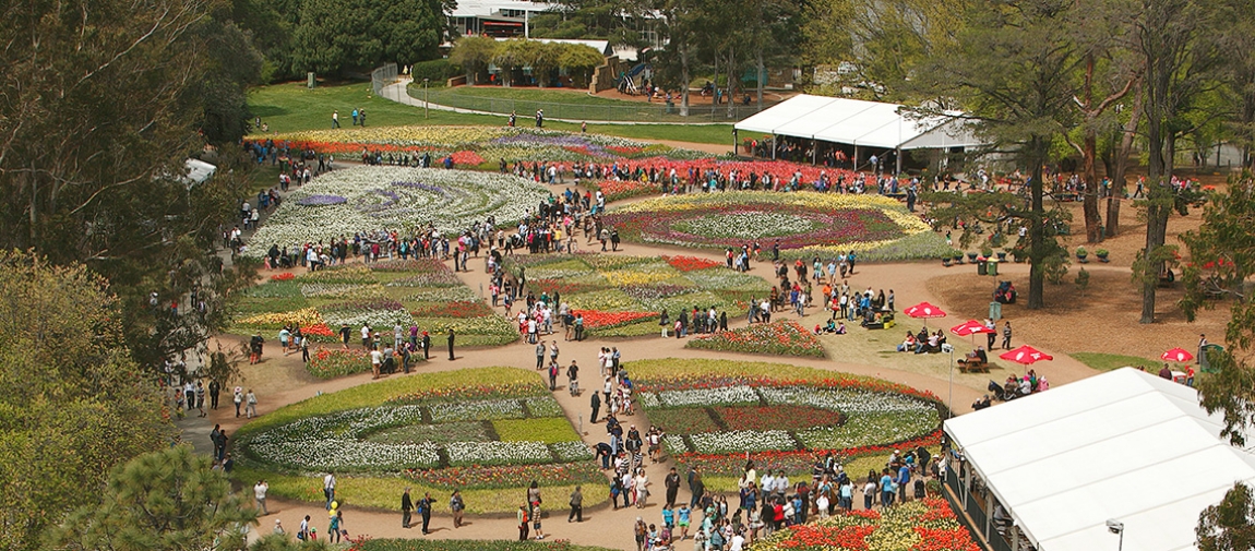 5 reasons why you must visit Canberra | Austravel Blog 5 reasons why you must visit Canberra | Austravel Blog